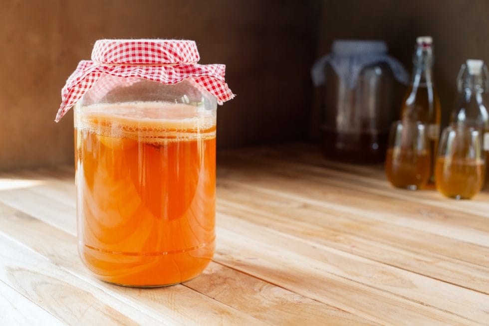 The Good Brew Company | Brewing Kits | Best Kombucha Australia