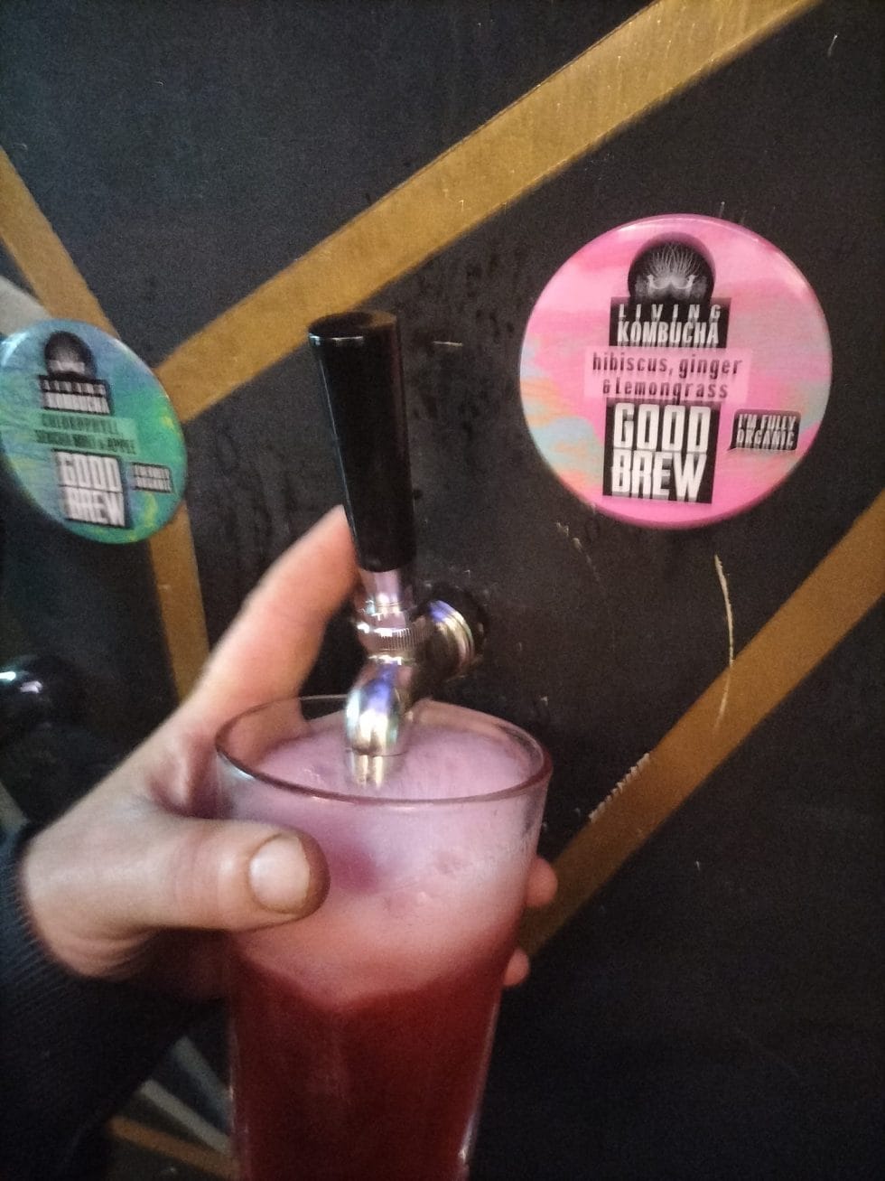 The Good Brew Company | Brewing Kits | Best Kombucha Australia
